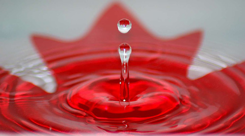 Picture of the Day, Friday, 17th Nov 2006 - Digital Photography Now